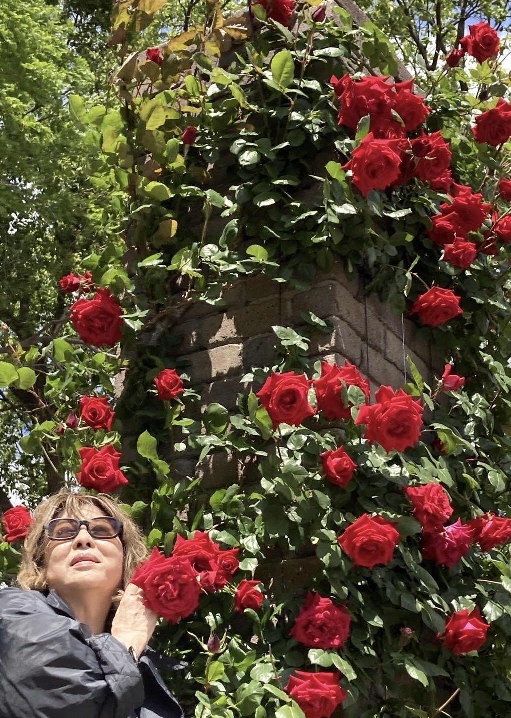 長い連休明け雨上がりの晴天｜Mari Itsuki