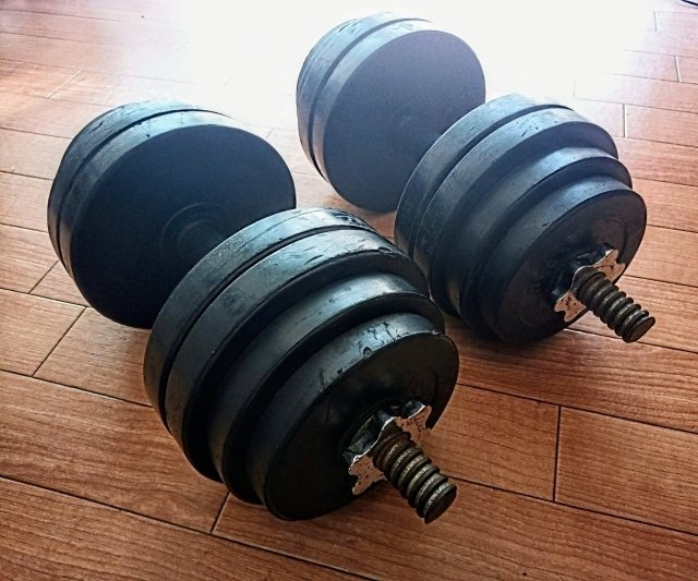 音楽とは関係ない話 2025年5月｜たいやき1/2C