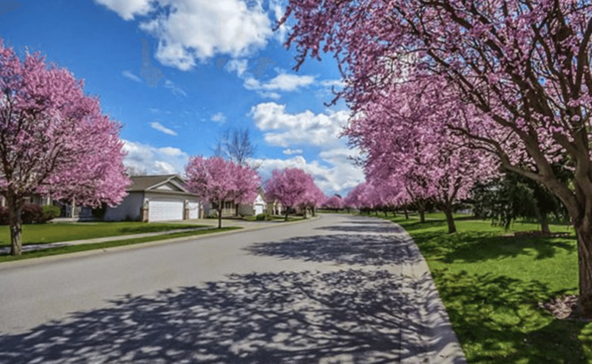 カナダのオンタリオ州ロンドンは住みやすい街ですか？｜Goro Nagaoka