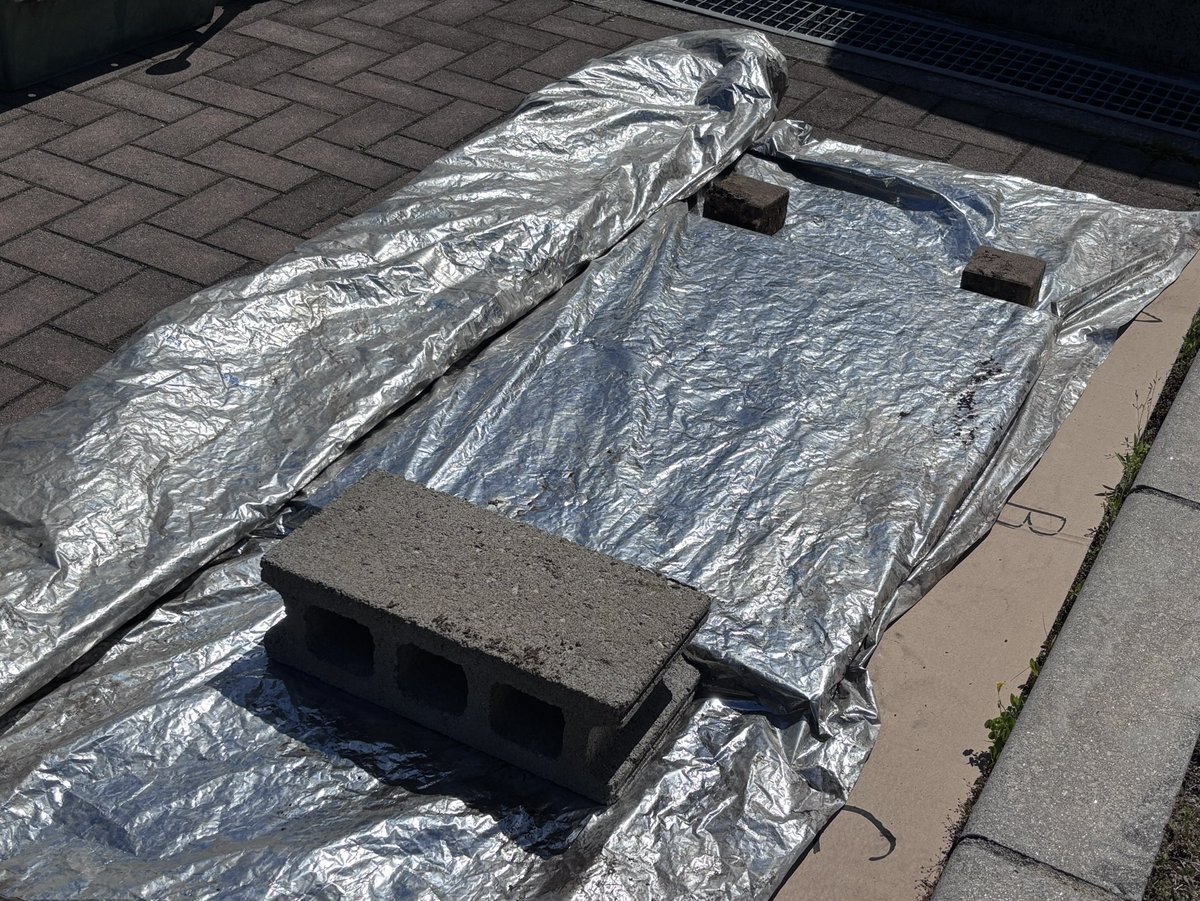 米作りスタート！｜海士町立海士小学校【公式note】