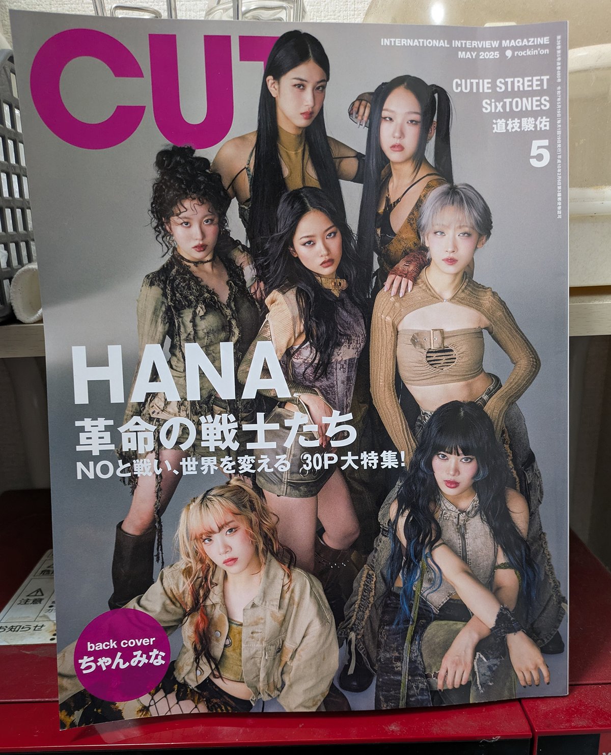 HANAは自分を見つめて、自分を高めて、自分の中にいるモンスターを、美と力のスタンドを掘り出した｜Akira Someya