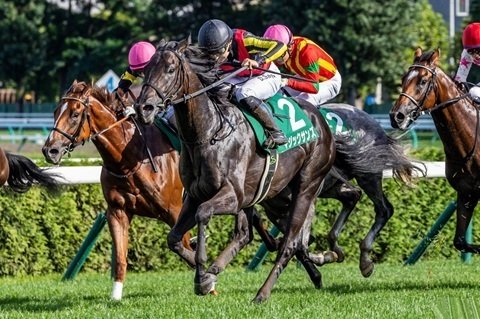 【2025 NHKマイルC（G1）】～予想篇｜Haya