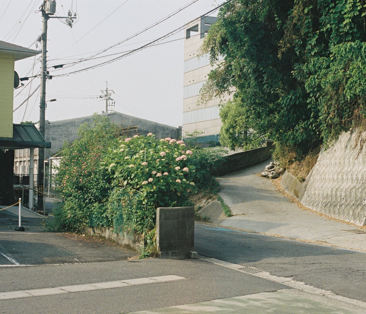 揺れながら撮っていく.｜木村 友哉 / Yuya Kimura