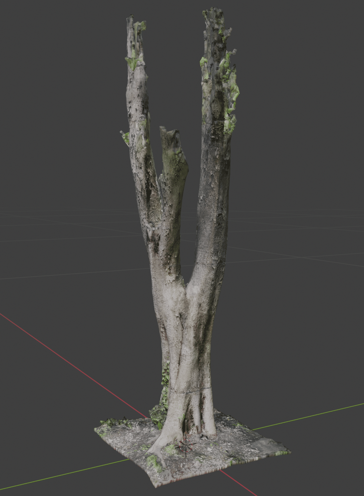 境内の木をスキャンして3Dプリンターでキット化しました｜Nerima Base - ネリマベース