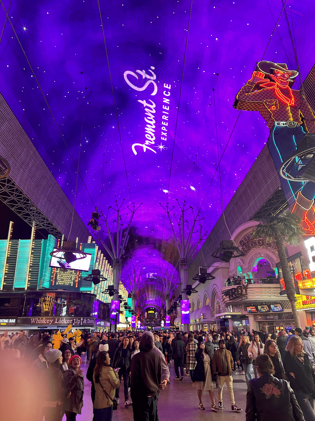 SPEC所属学生自己紹介【27卒慶大生】(2025年4月入学)｜TSUKURU株式会社