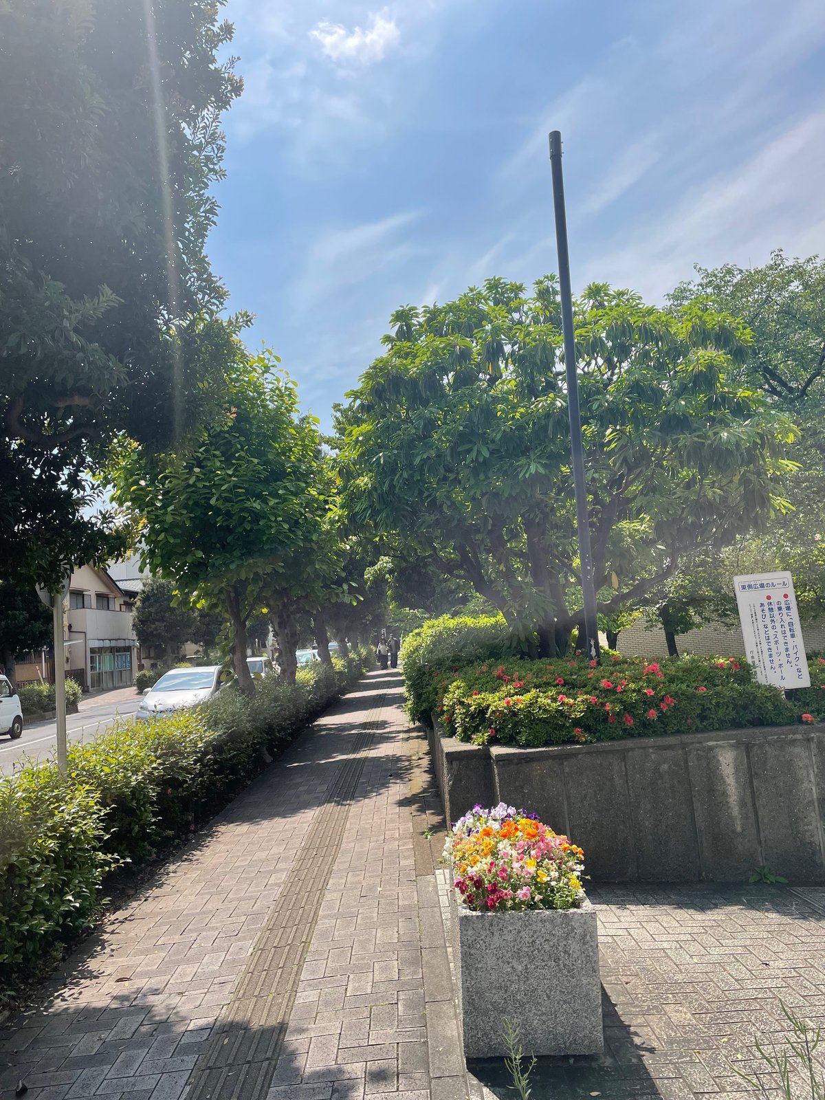 区役所に出かけて、のんびりとひとりでランチ＆スタバでカフェタイムしてきた、アラフィフ子なし主婦です。｜carat_ 77