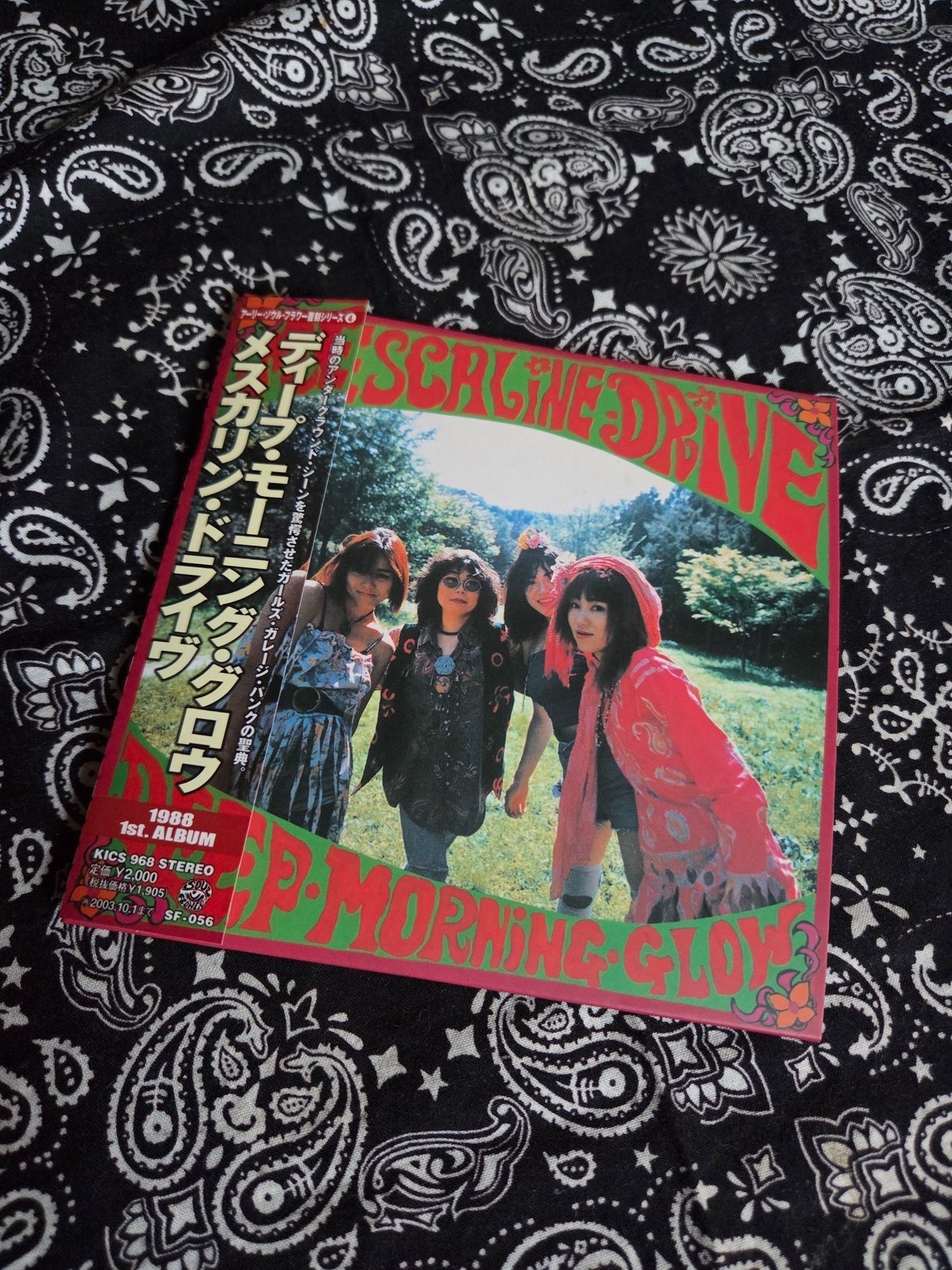 私の好きなアルバム其の108[パンク/ガレージ/サイケデリック編]｜kei1diablo