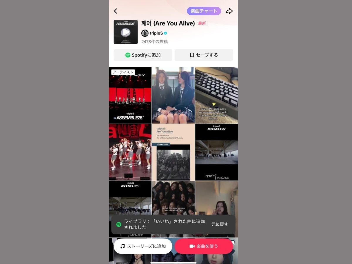 TikTok | tripleS Double Class Objekt Eventの説明｜Lash (tripleS)