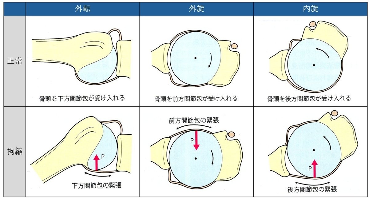 Obligate translationとは？│理学療法｜リハログの森