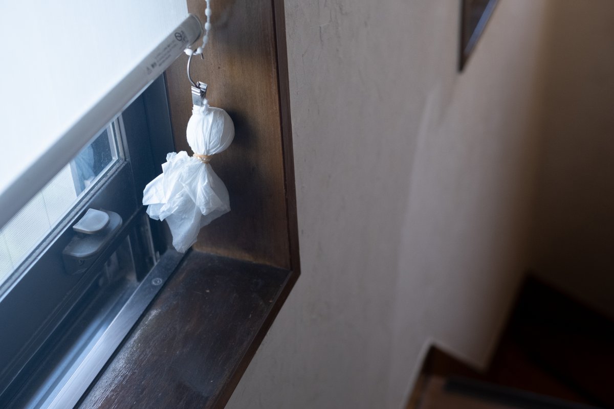 こんな私でも、里親になっていいの？ 現役里親さんの本音インタビュー！｜世田谷の里親相談室 SETA-OYA