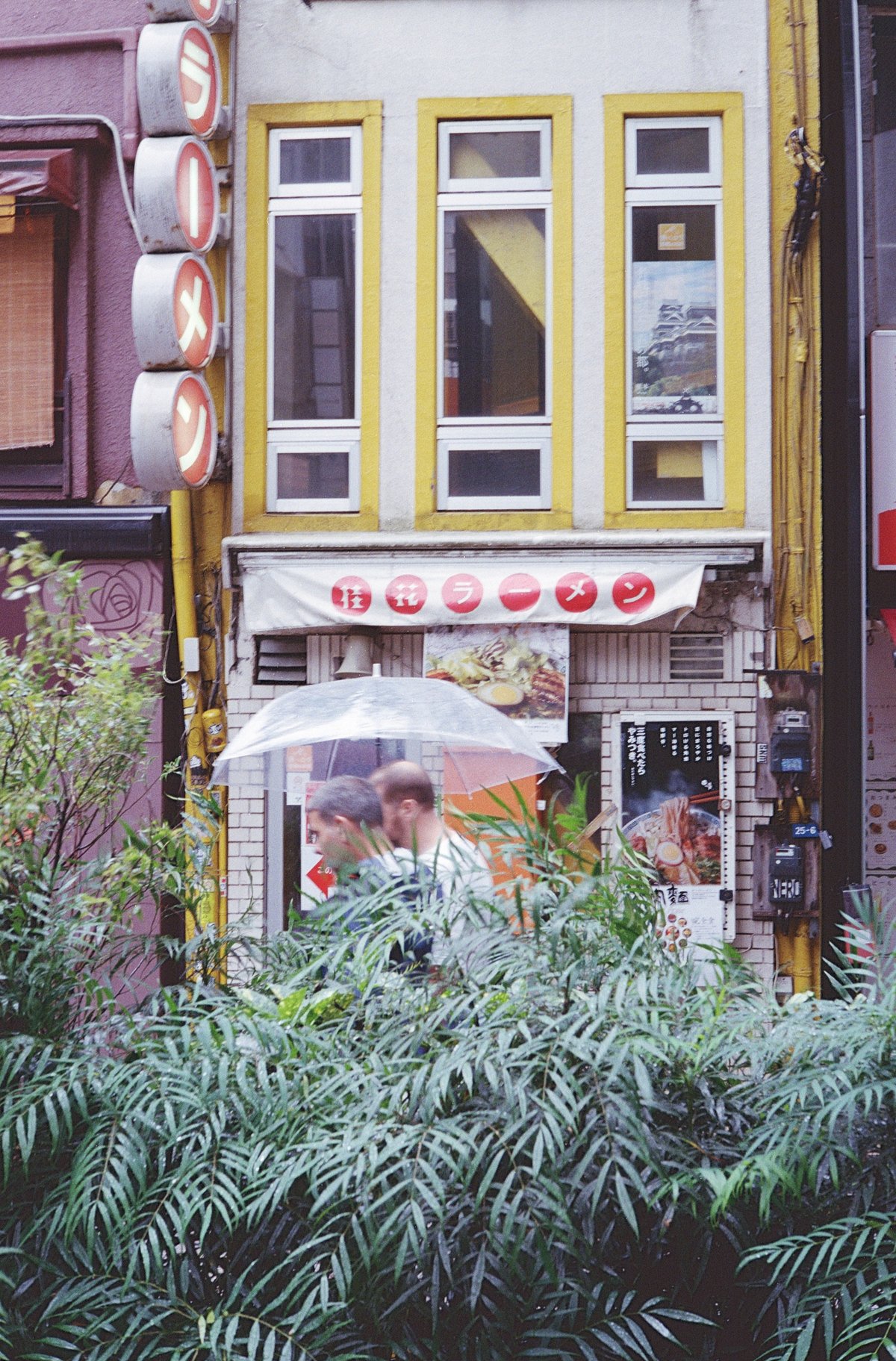 アメ・ノクチ - 2｜MOJA MOJA