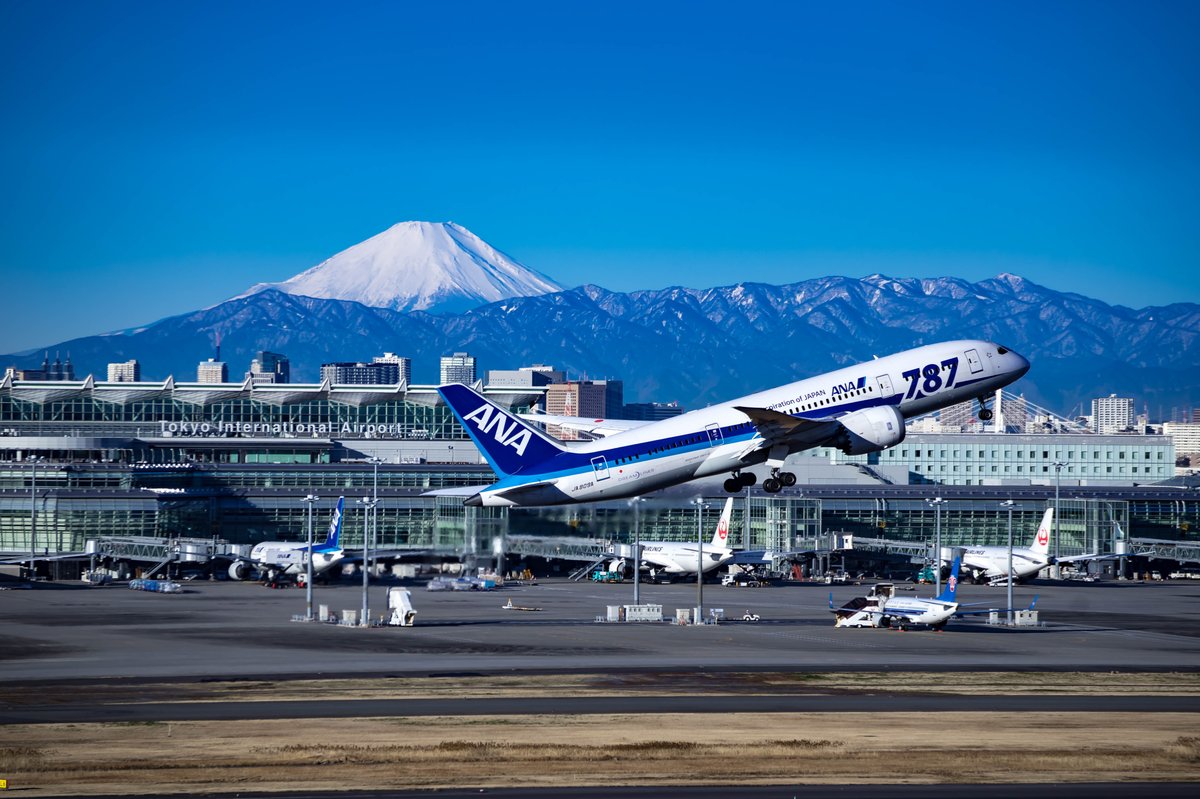 【52weeks投稿企画】私の推し飛行機はB787 ー7/52｜nasujin