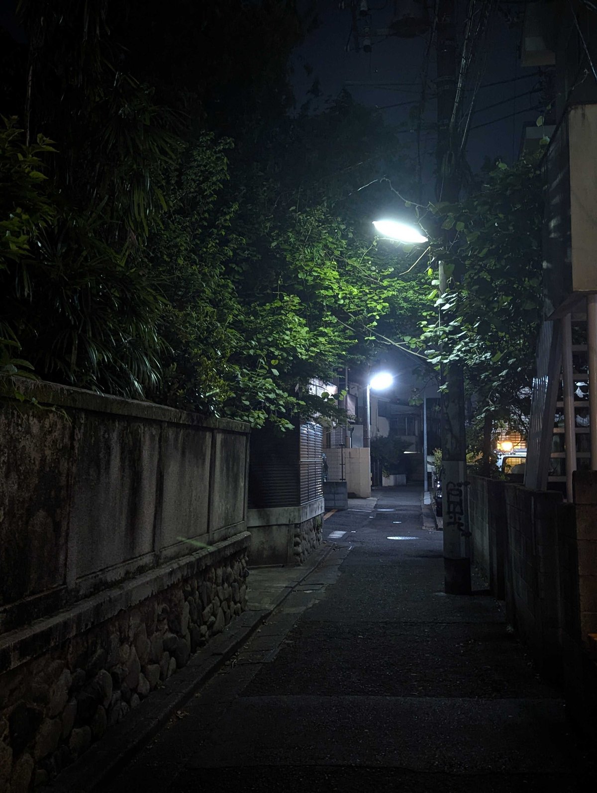 一眼カメラでスマホっぽい写真は撮れるのか｜Kenta Komai