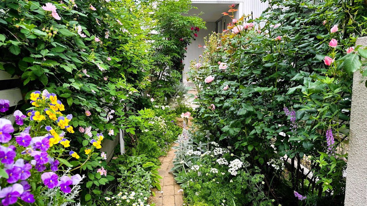 ただ咲かせるだけじゃない♡無農薬バラで叶う“人生の贅沢”｜[無農薬バラの育て方] 季節のお手入れから悩み相談まで‶人生充実バラ栽培サポーター”