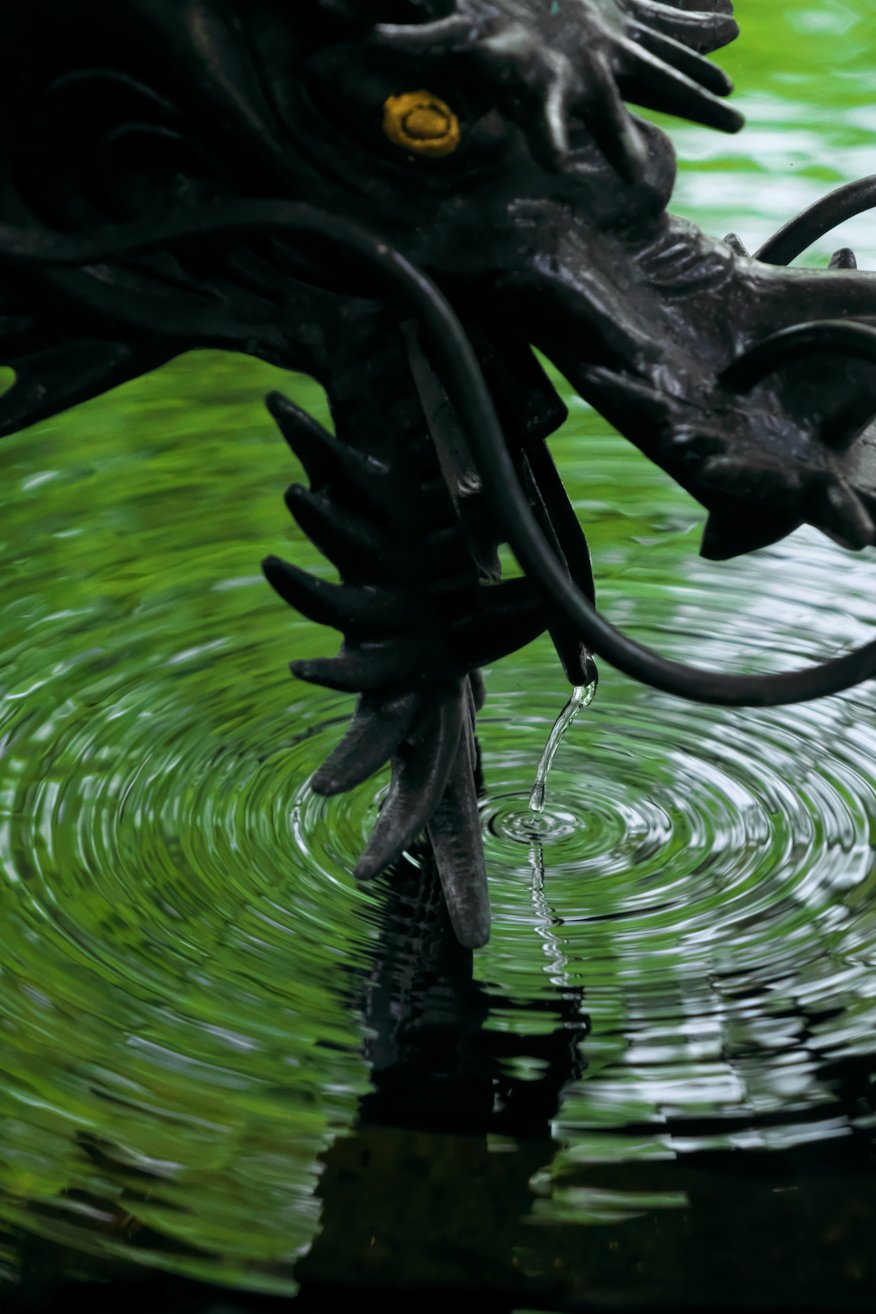 【フィアットで日本一周】第八十八番札所大窪寺に着いちゃった…｜pirokoとフィア子の日本一周🚗余白旅と写真のこと