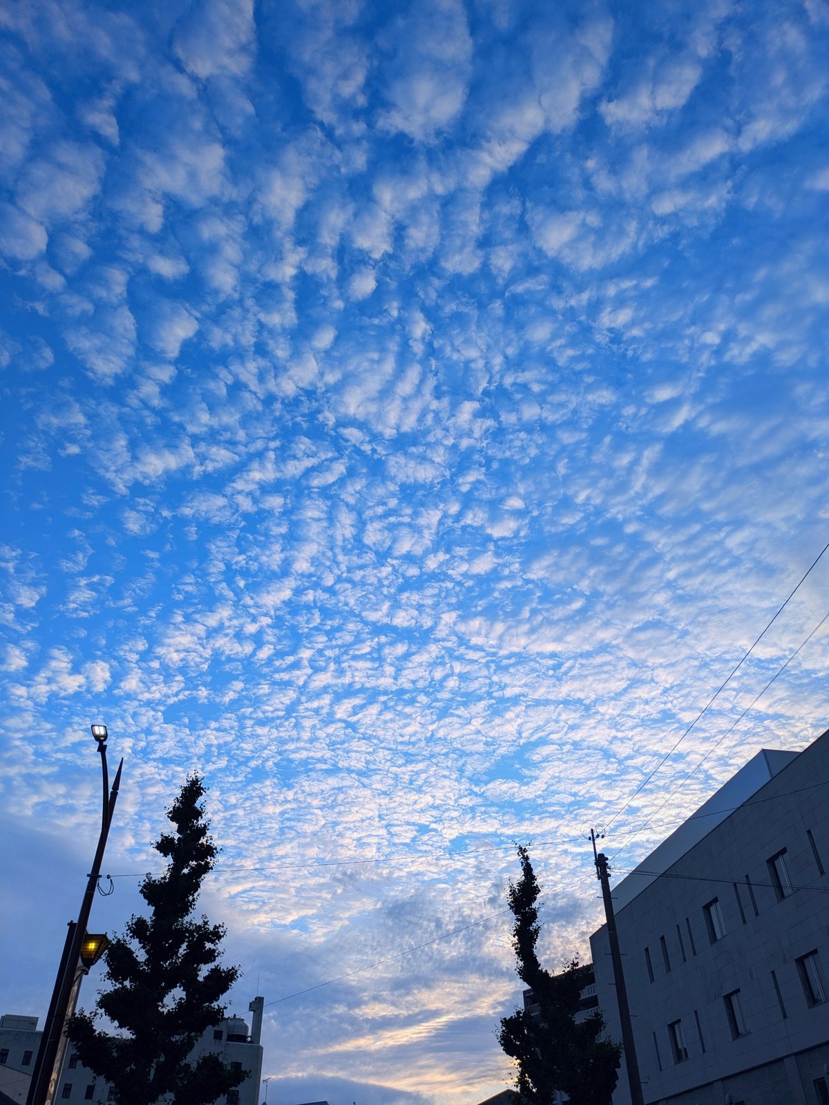 【Facebookとは、ノンフィクション……まさか？】｜Tamaki Minto