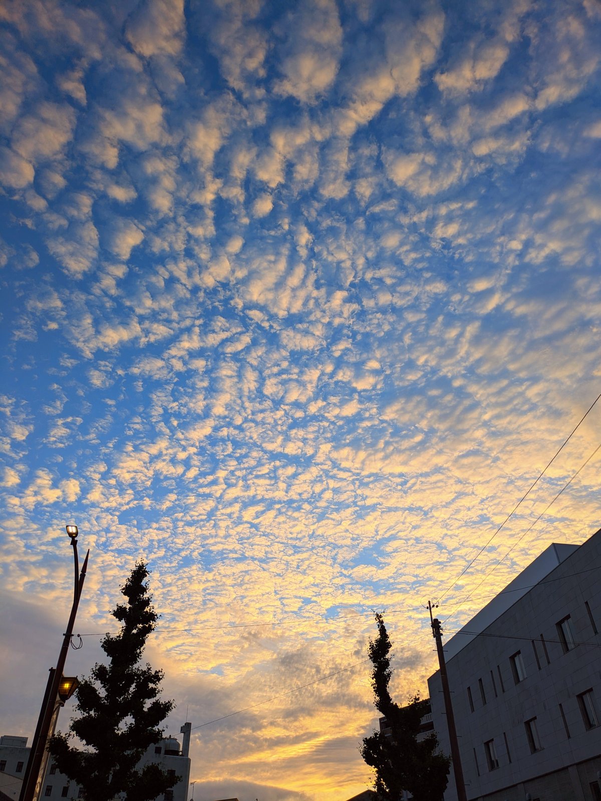 【Facebookとは、ノンフィクション……まさか？】｜Tamaki Minto