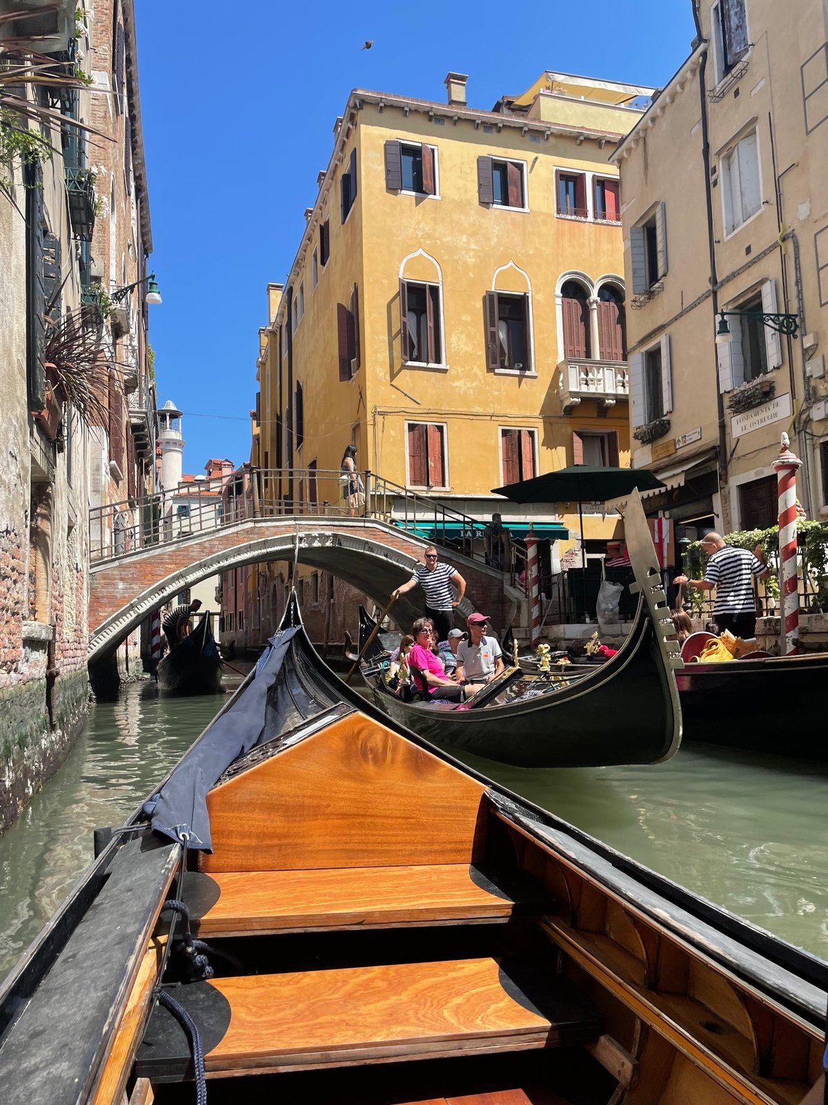 一生に一度の夢のクルーズなんて、クソ｜YUNO/大航海時代DAO