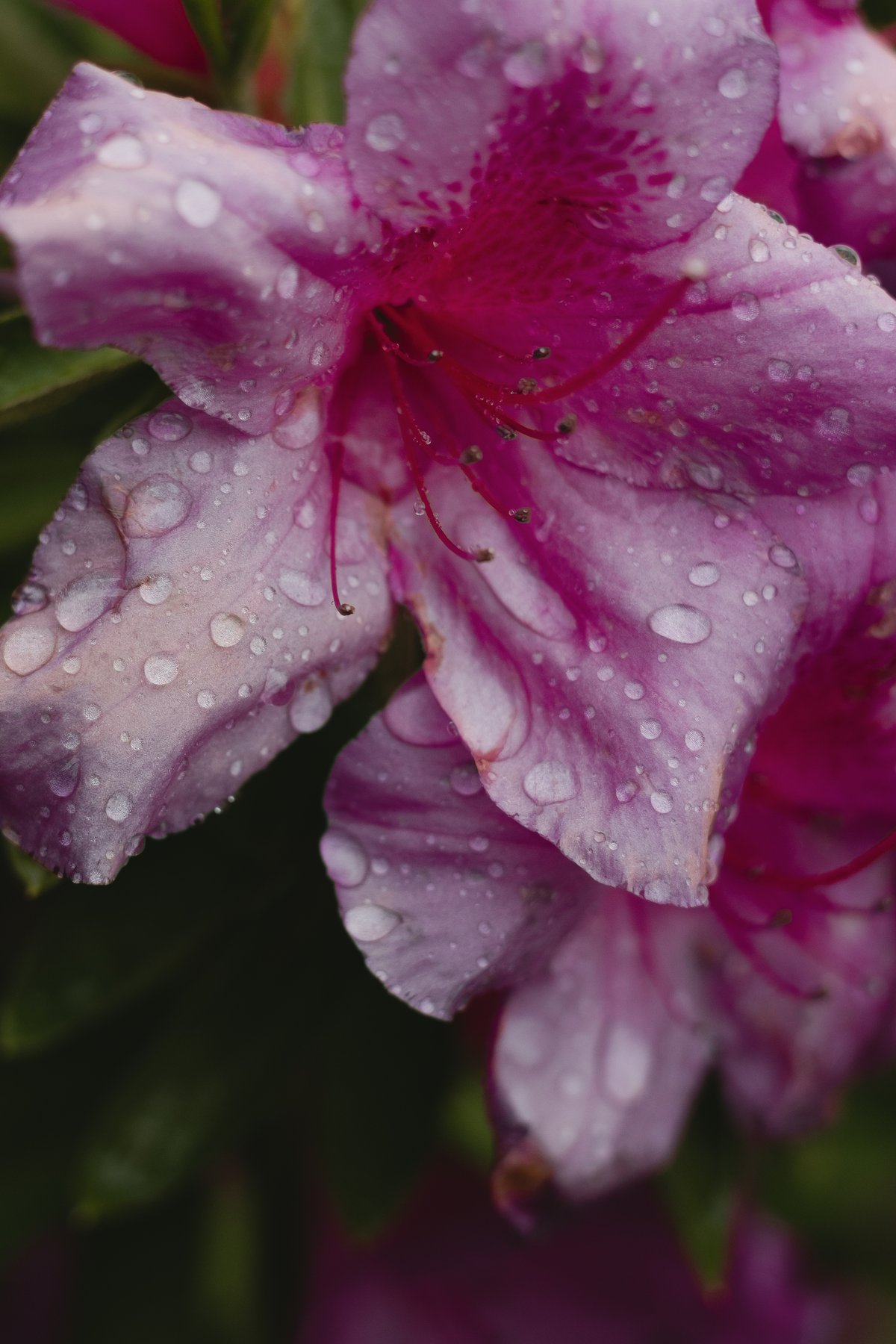 DANRO-設立から3周年を迎えた今の想い｜DANRO inc.