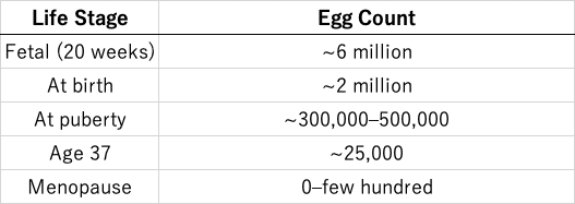 【Q&A 3】How Quickly Does Egg Quantity Decline—And How Can We Measure It ...