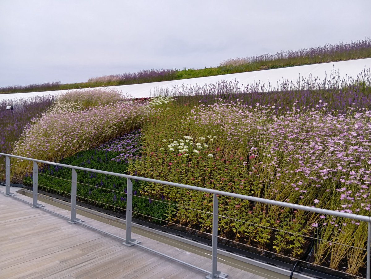 【京都市内からの日帰り旅行】大阪・関西万博（約15時間）｜aurinko