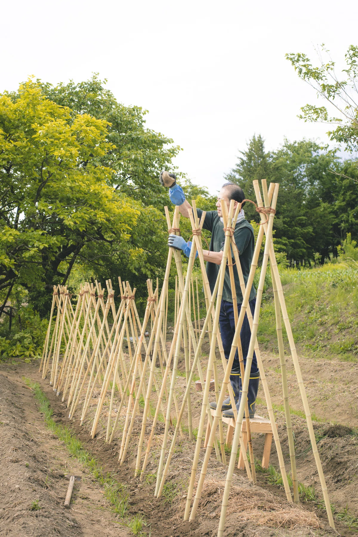 SOBA HOUSE FARM｜そばハウス安曇野
