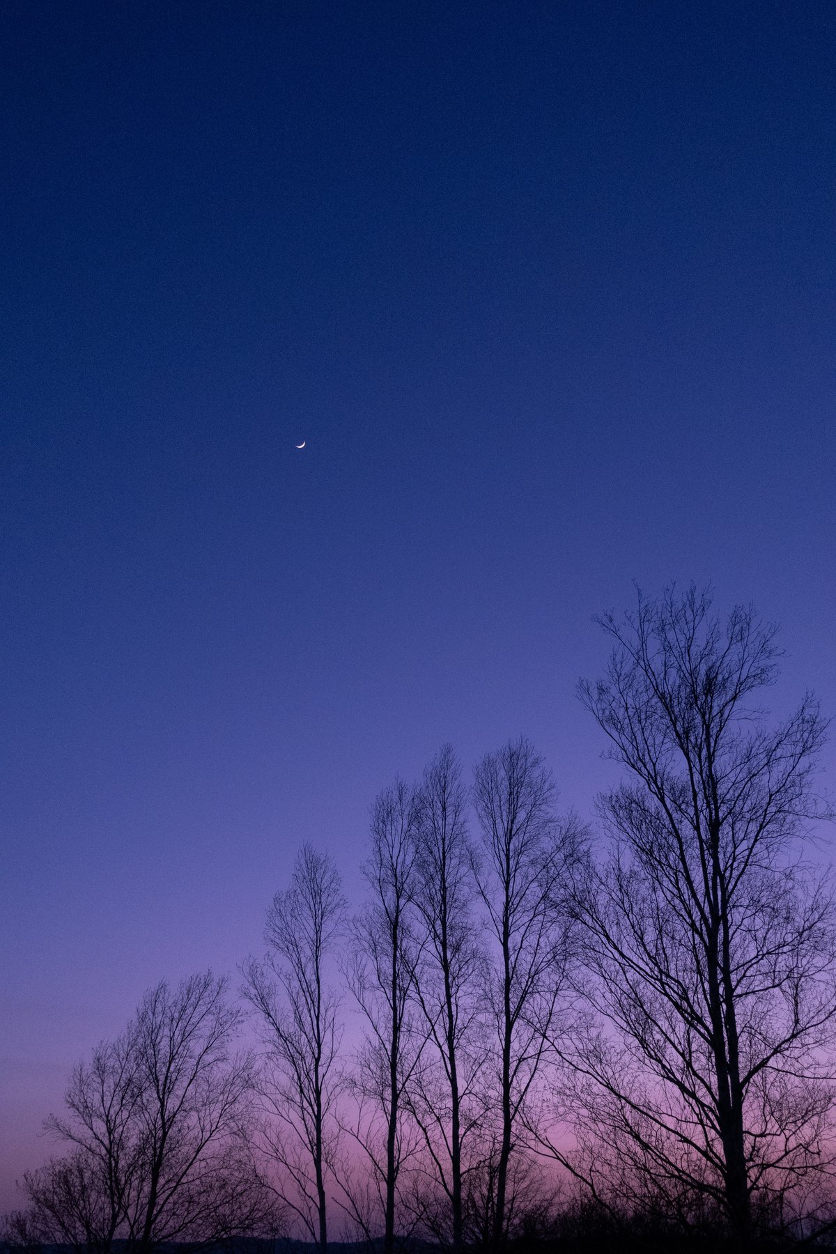 移住でも、起業でもない。美瑛で宿づくりの物語が始まった｜mashu｜Ubaku Villaプロデューサー