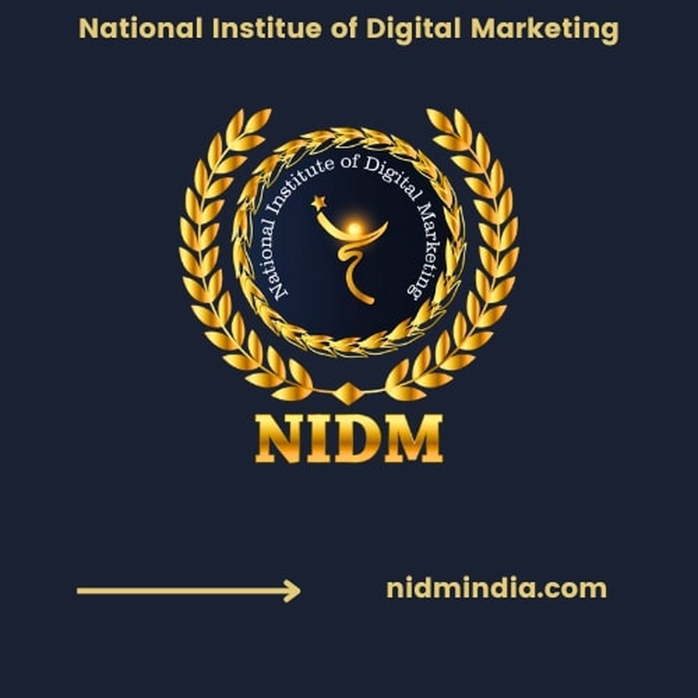 Top Digital Marketing Institute in India for Students | NIDM India｜KiranKV