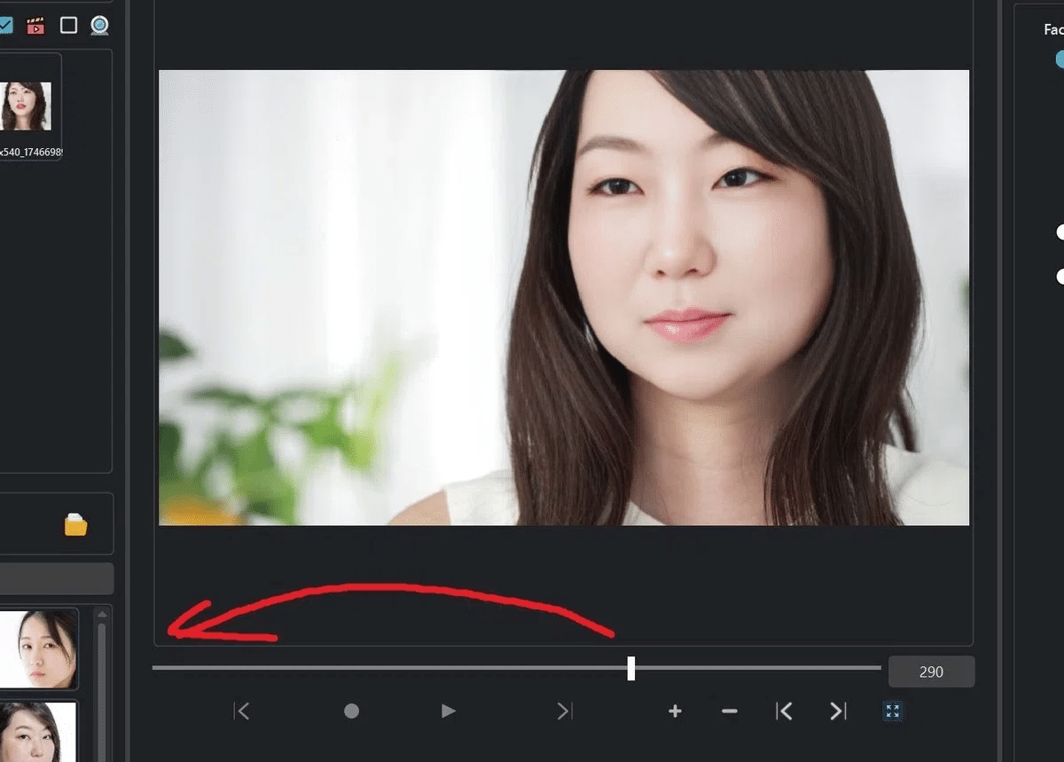 VisoMasterの簡単な使い方｜ふつおじ