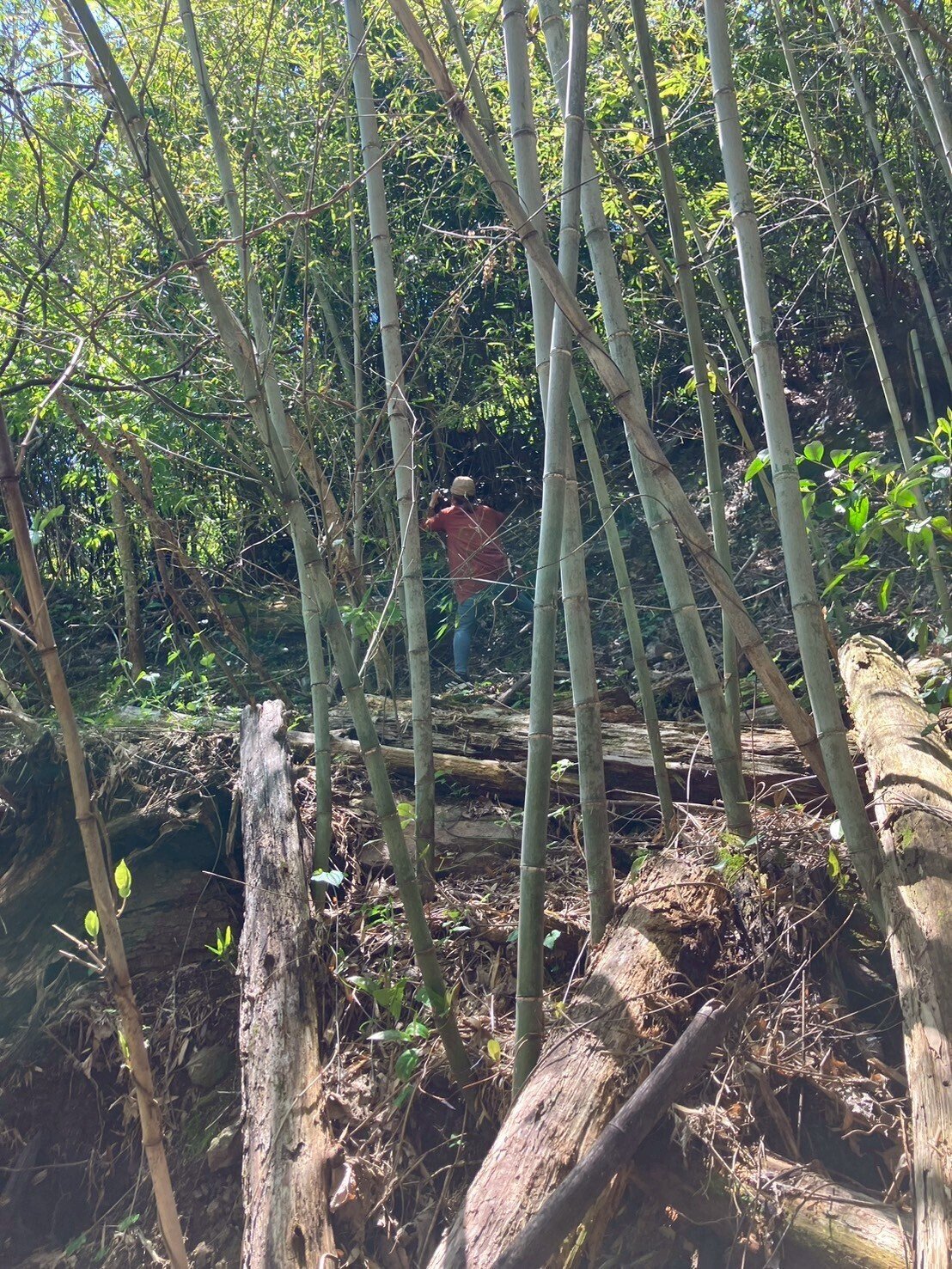 私という世界を祝福する〜chatGPTと語る「本当の望み」〜｜YUI-KICHI★