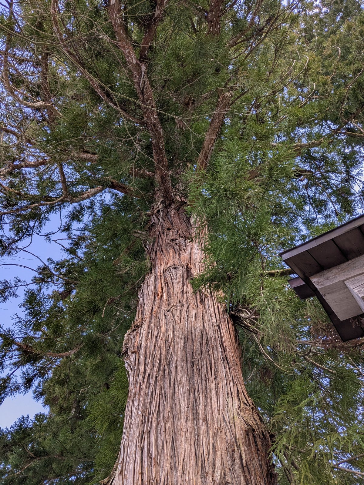 私という世界を祝福する〜chatGPTと語る「本当の望み」〜｜YUI-KICHI★