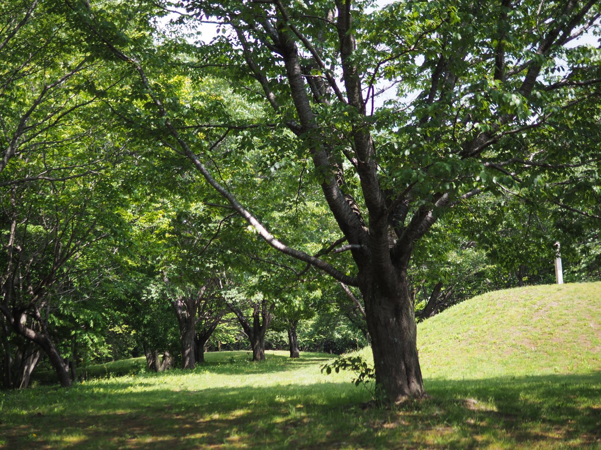 久しぶりの森林浴に…｜末吉。