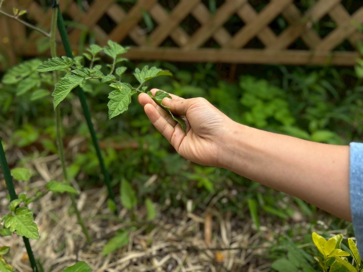 「その言葉に、手触り感はあるのか？」実践型対話スクールDANRO Summerファシリテーター まみーたさん｜DANRO inc.