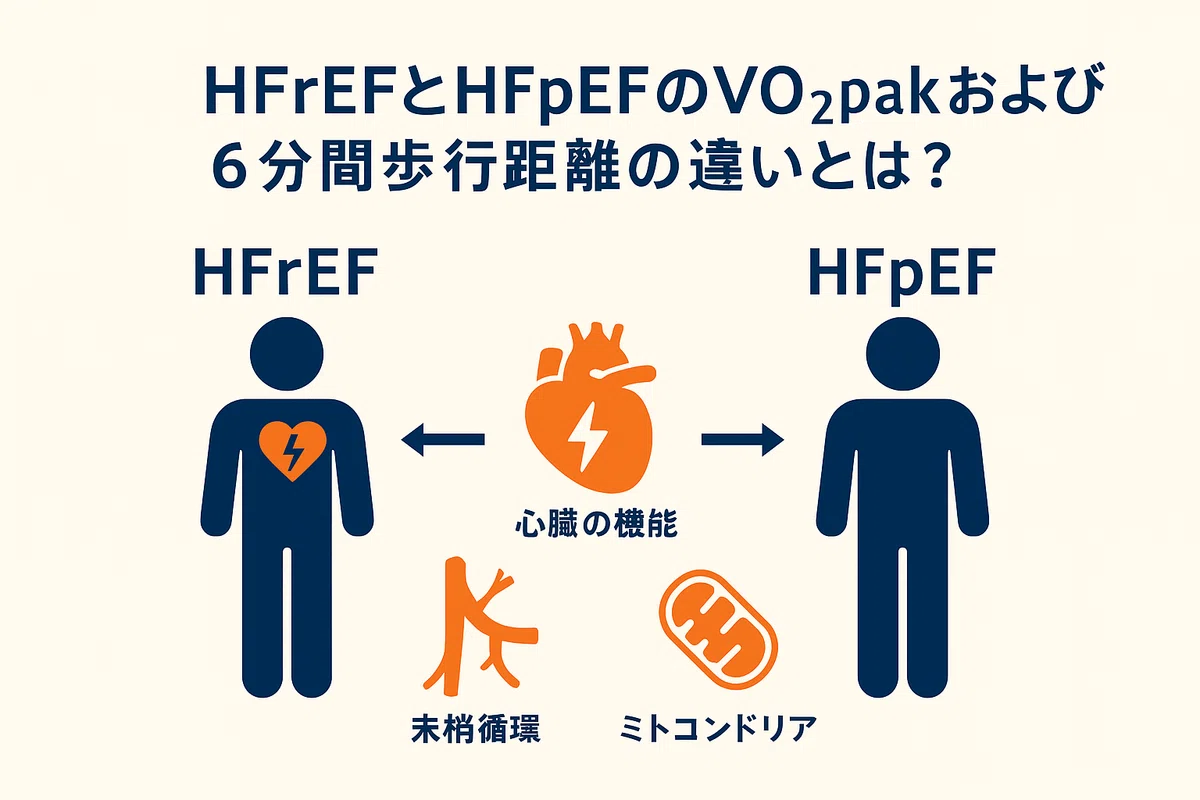 臨床5年目までに押さえておきたい、「HFrEFとHFpEFのVO₂peakおよび6分間歩行距離の違い」｜Hitoshi & KZFM