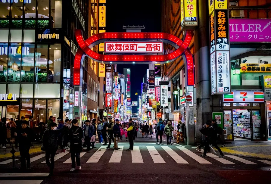 Top Red-Light Districts in Japan: Complete Guide for Tourists in 2025 ...