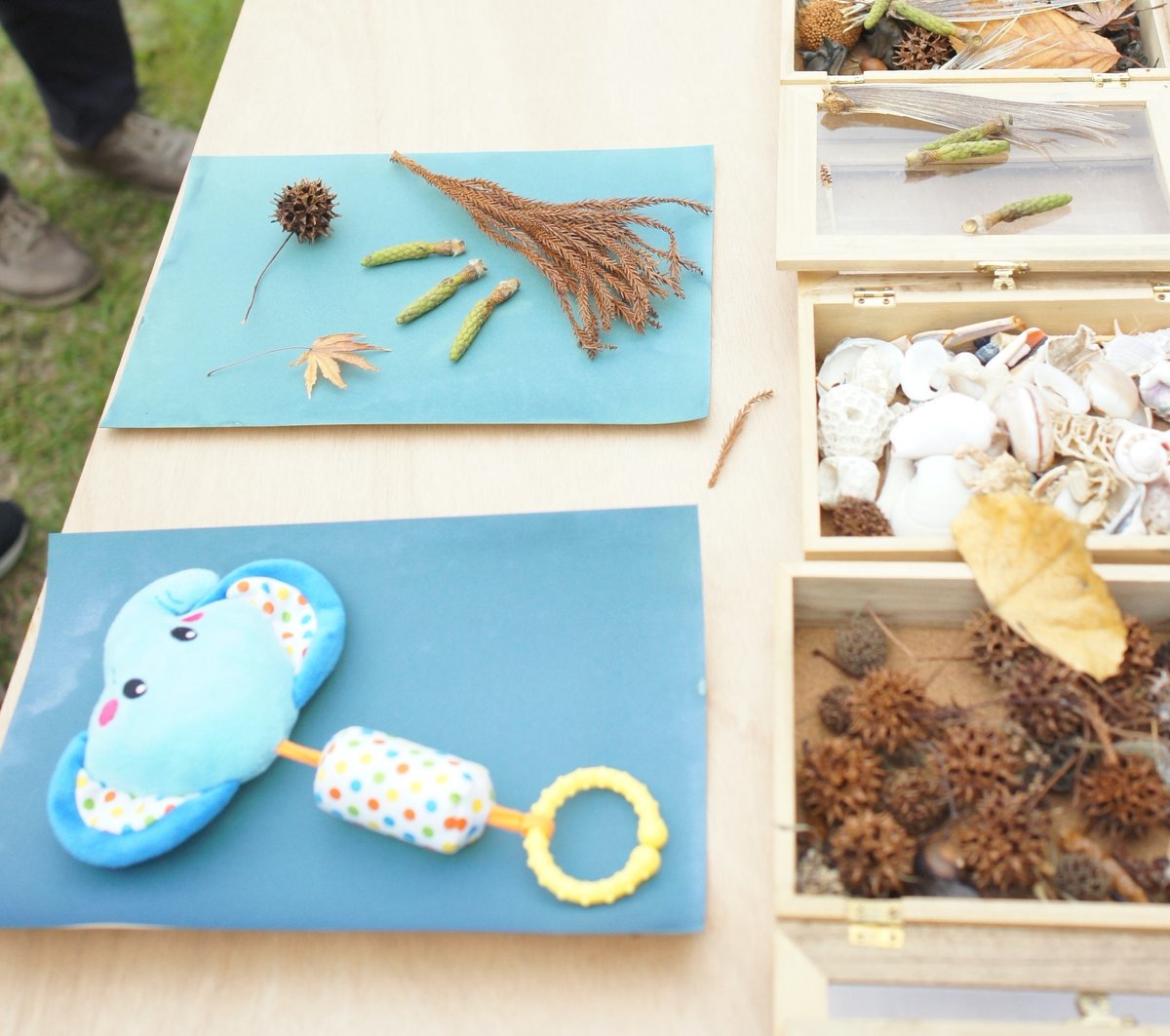 【WS 2025】「影をつかまえる」フォトグラムワークショップ＠埼玉県宮代町けやき公園｜Shunya.Asami NOTE