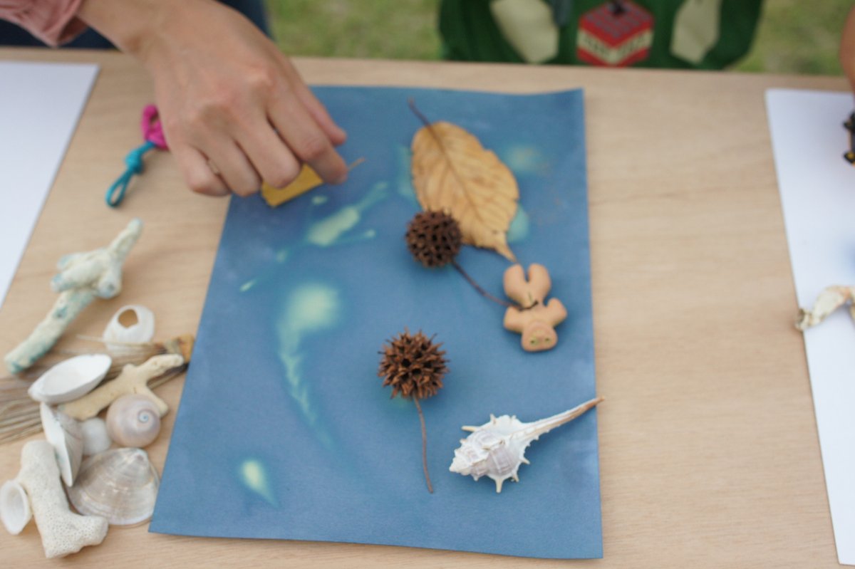 【WS 2025】「影をつかまえる」フォトグラムワークショップ＠埼玉県宮代町けやき公園｜Shunya.Asami NOTE