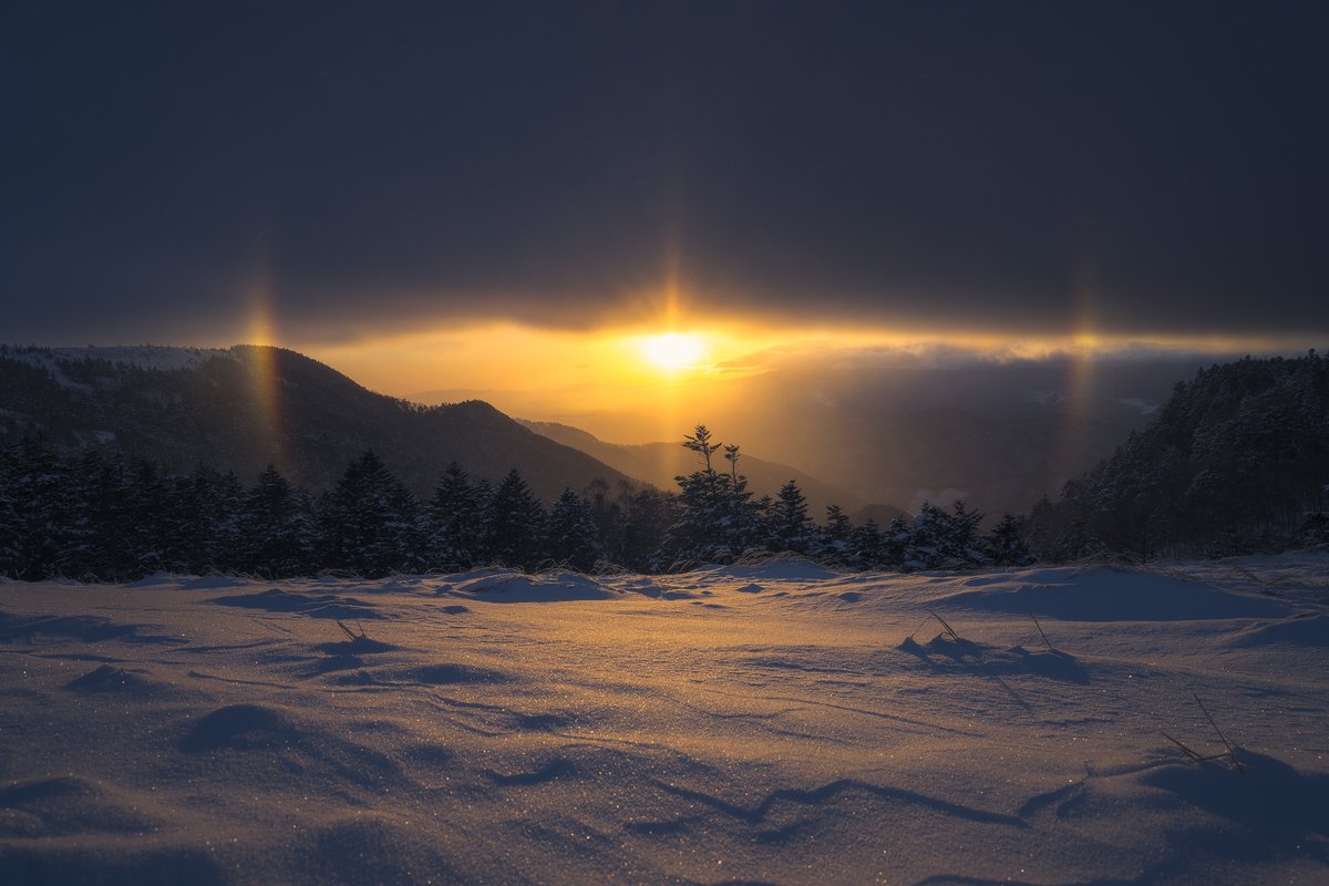 がんサバイバーから写真家へ｜Misaki Nagao