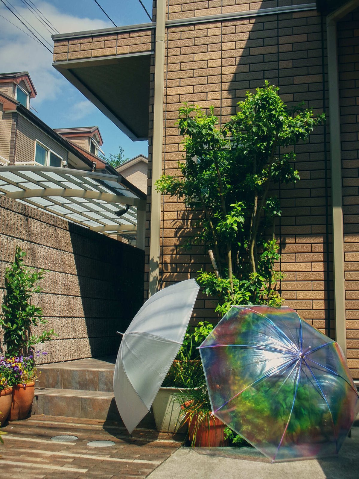 KODAK PIXPRO FZ55が何もしてないのに壊れて直った｜Kenta Komai