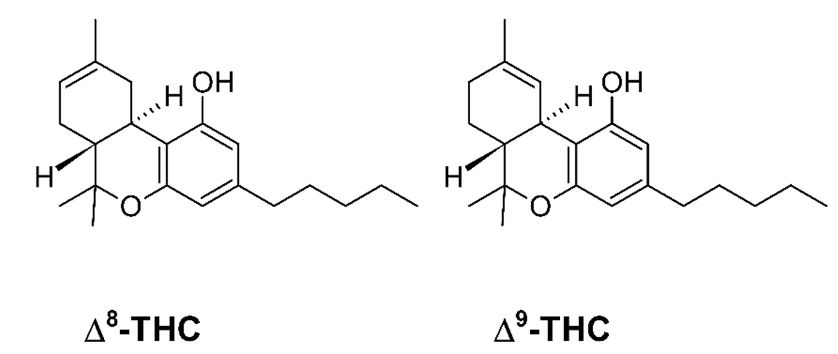 Δ8-THCに関するCBD・カンナビノイド関連事業者向け解説ガイド｜KCAラボジャパン
