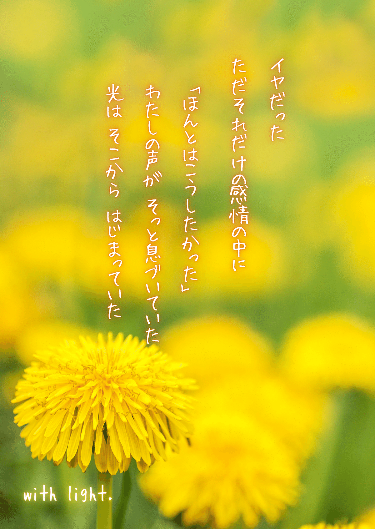 💛Day10「気づく」｜たいせつに気づくと、光がともる｜Trinity Code 〜 トリニティーコード