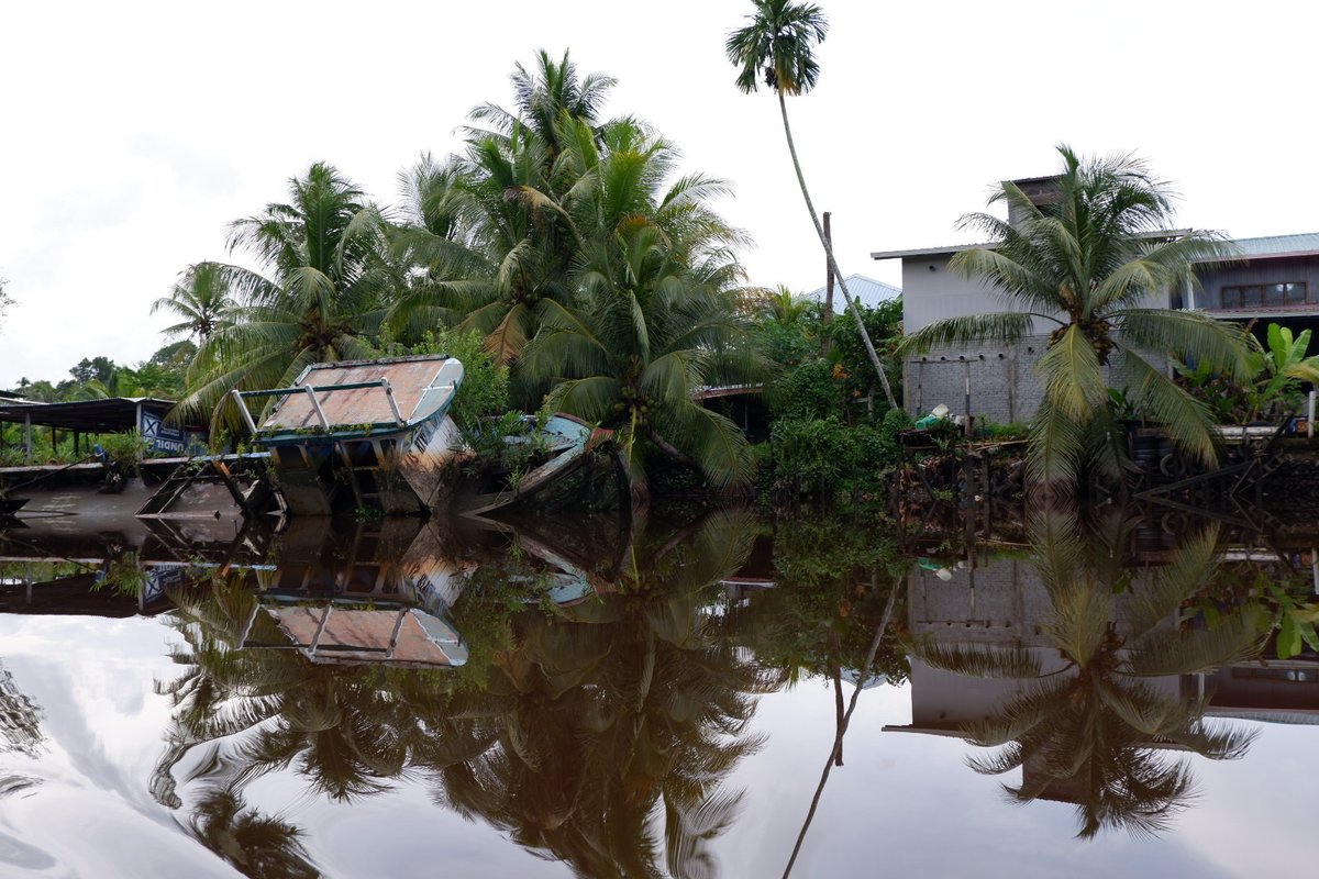 ボルネオ島でジャングルクルーズをした話②（お手軽リバークルーズ編）｜O次郎