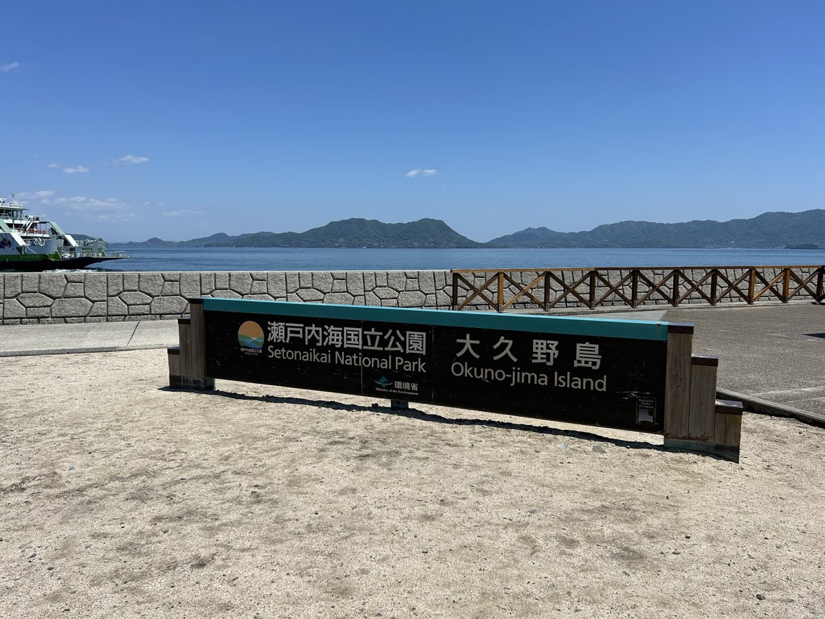 初夏の近況報告🐰｜LivEdge株式会社