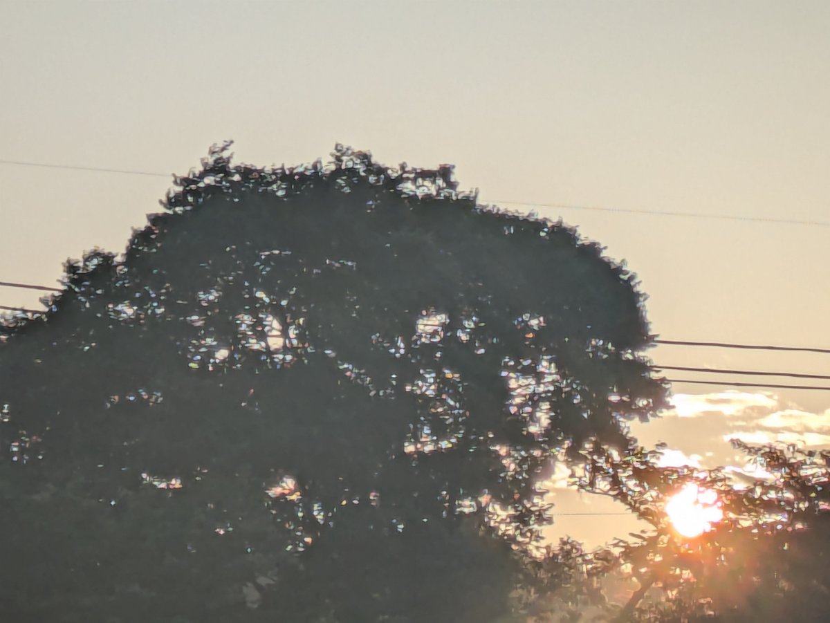 ある試みを始めてみた #23｜ichiro70