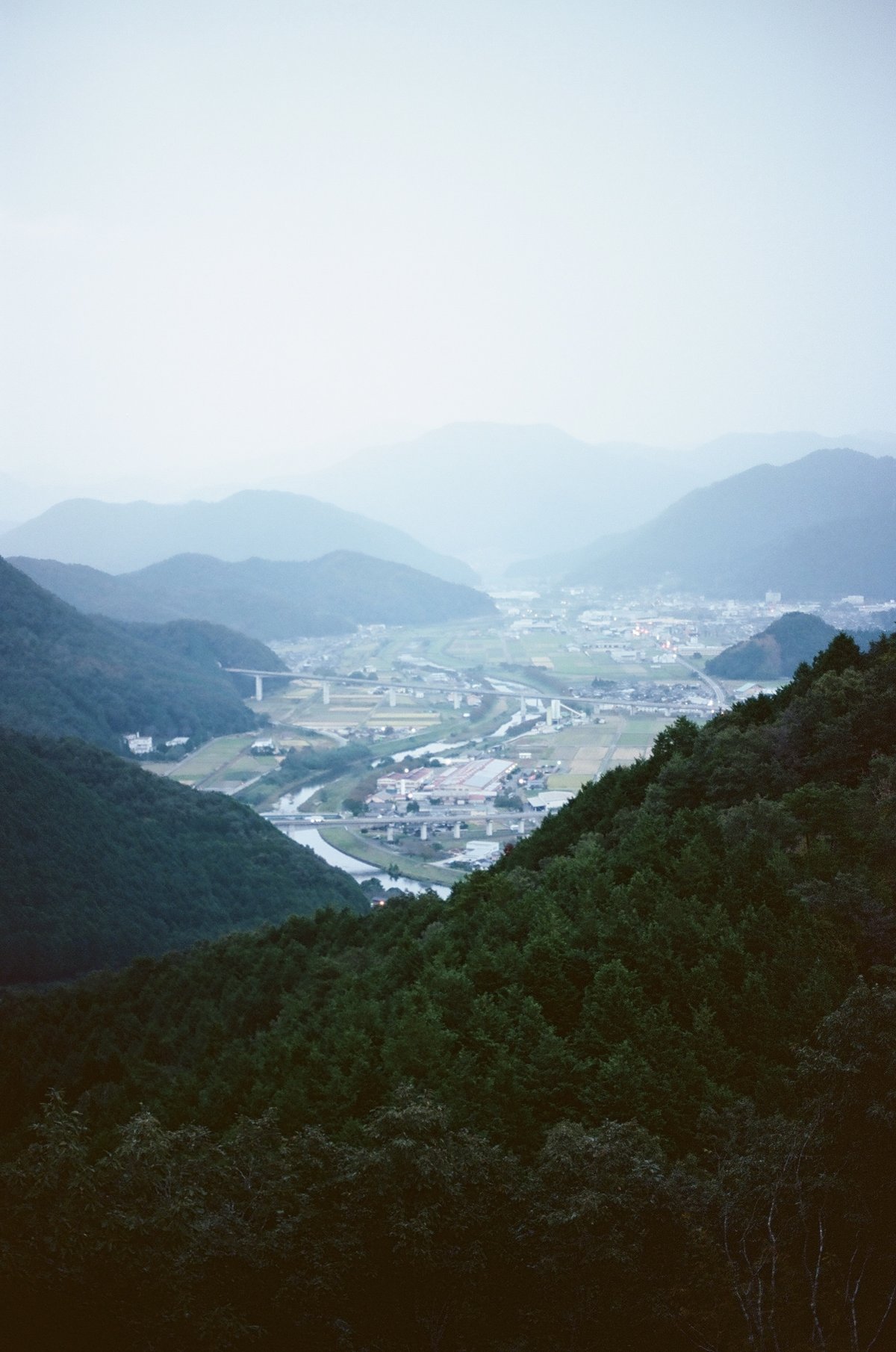 2024年16本目 Kodak Ekter 100｜Shogo Hagiwara