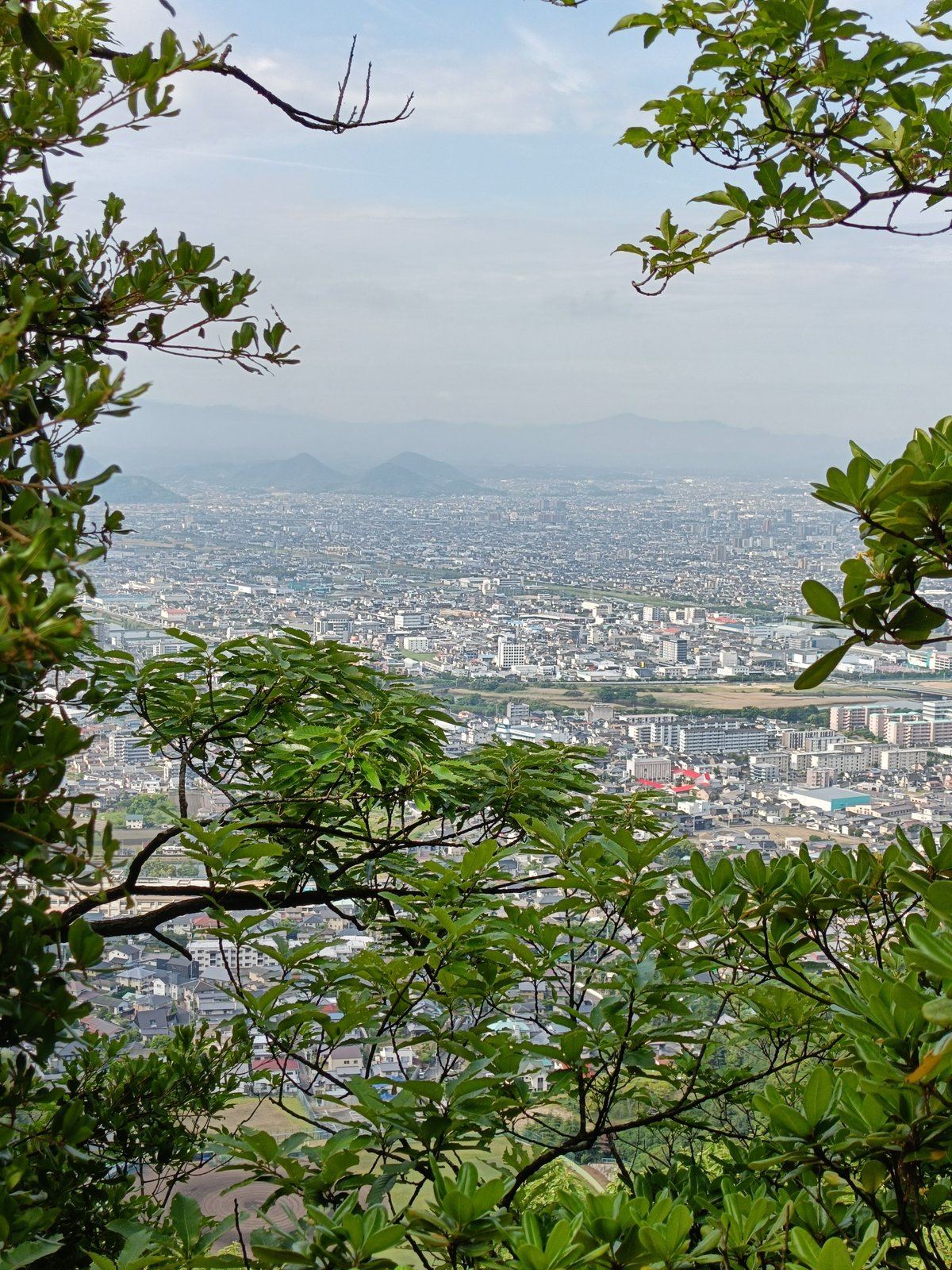 お遍路15日目 残りあと1つ｜むろ書房（murobooks）