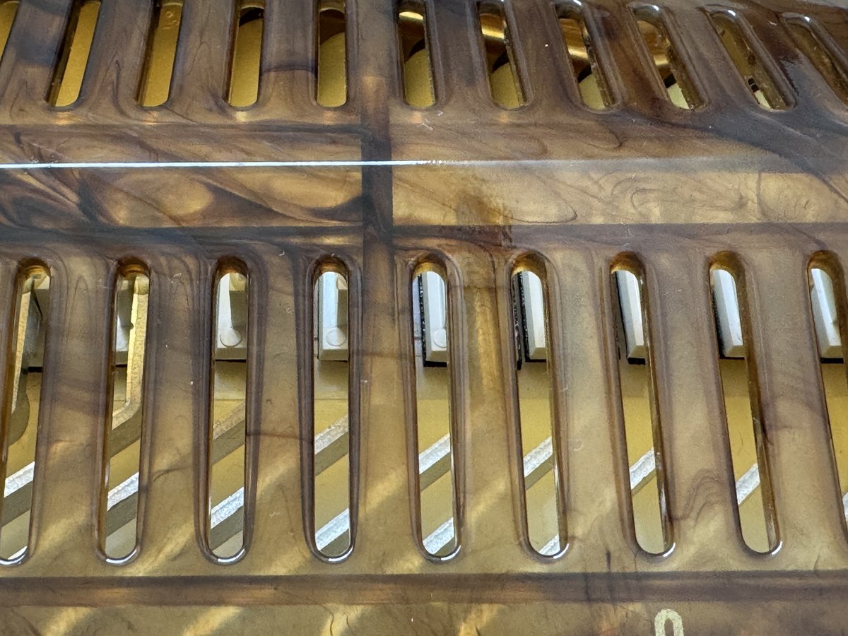 べっ甲柄の andes 25F｜まんぼう