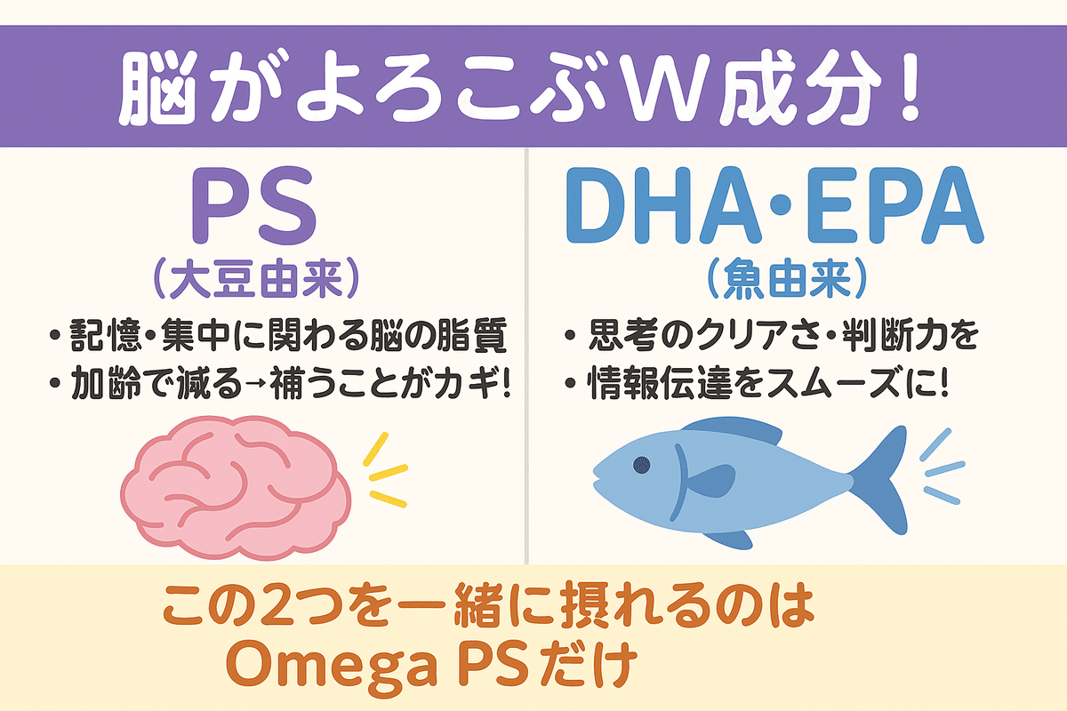 🧩【記憶×集中ケア】PS＋DHAで“ぼんやり脳”に喝！働き盛りのための脳活習慣｜しろみ