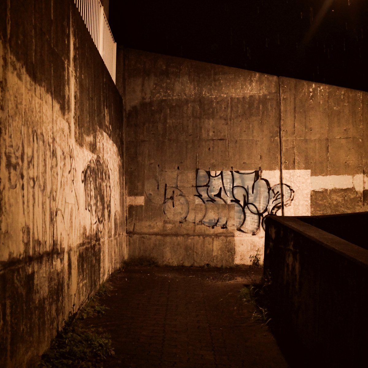 Nightウォーキング⑤/GR3｜Noki