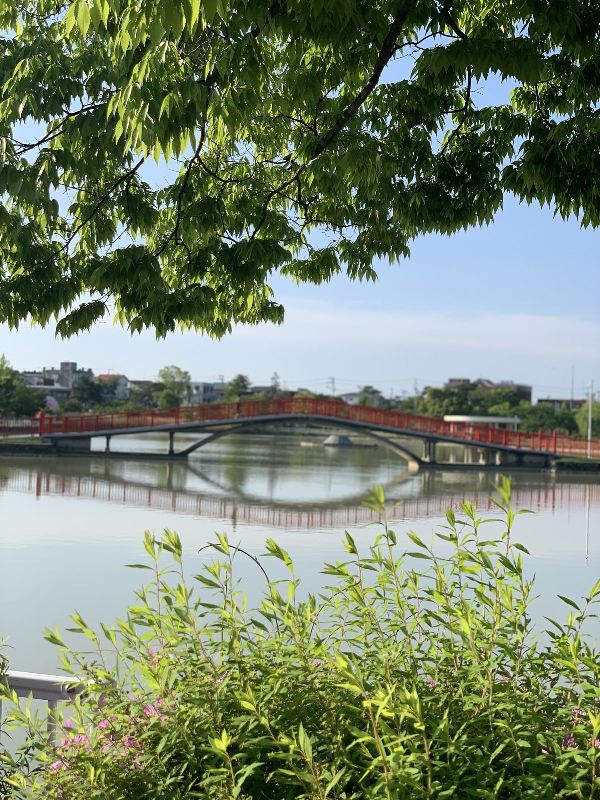 【DAY27】映画の自主上映会を開催する「福島県郡山市」は”想いをまとめる街”｜にう@コトノ葉デザイン祈承天結